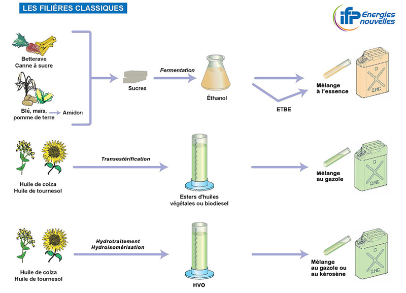 Quel avenir pour les biocarburants ? | IFPEN